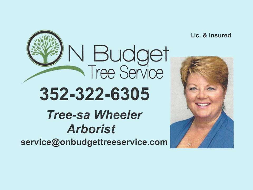 On Budget Tree Service - DCBA Member